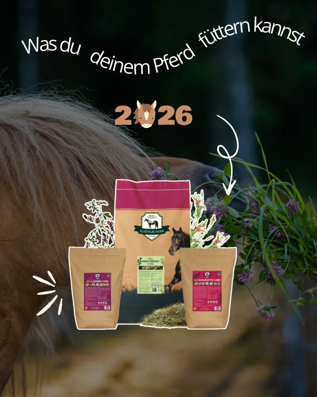 Welches Futter kannst du im Jahr 2026 an deine Pferde verfüttern ...